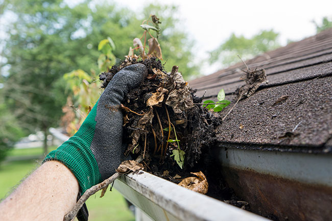 Four Tell-Tale Signs You Need Gutter Cleaning | Empire Gutters